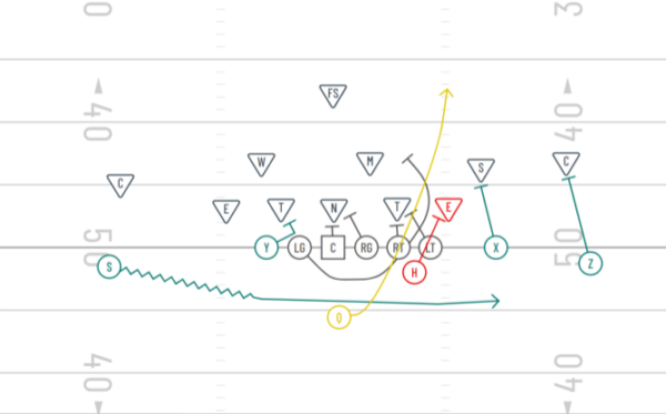 Wildcat Offense Formation Playbook