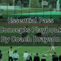 Wildcat Offense Formation Playbook